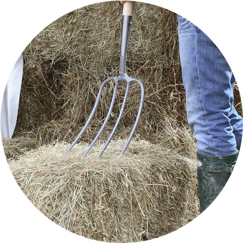 Spear & Jackson Hay Fork LK | Spear & Jackson Spear & Jackson Hay Fork LK | Spear & Jackson