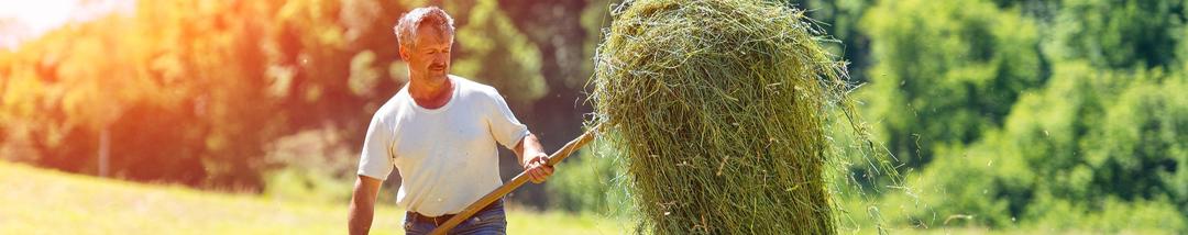 Plantation Tools | Spear and Jackson